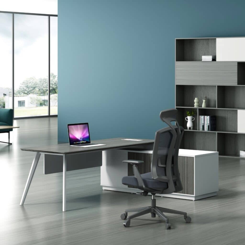 Ergo Plus Mesh Chair | Sunline Office