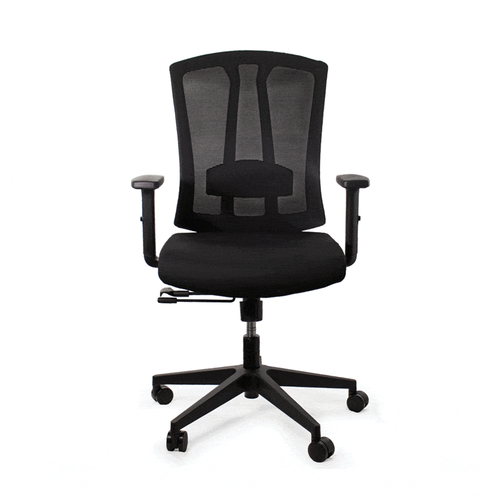 Ergo Classic Office Chair | Sunline Office