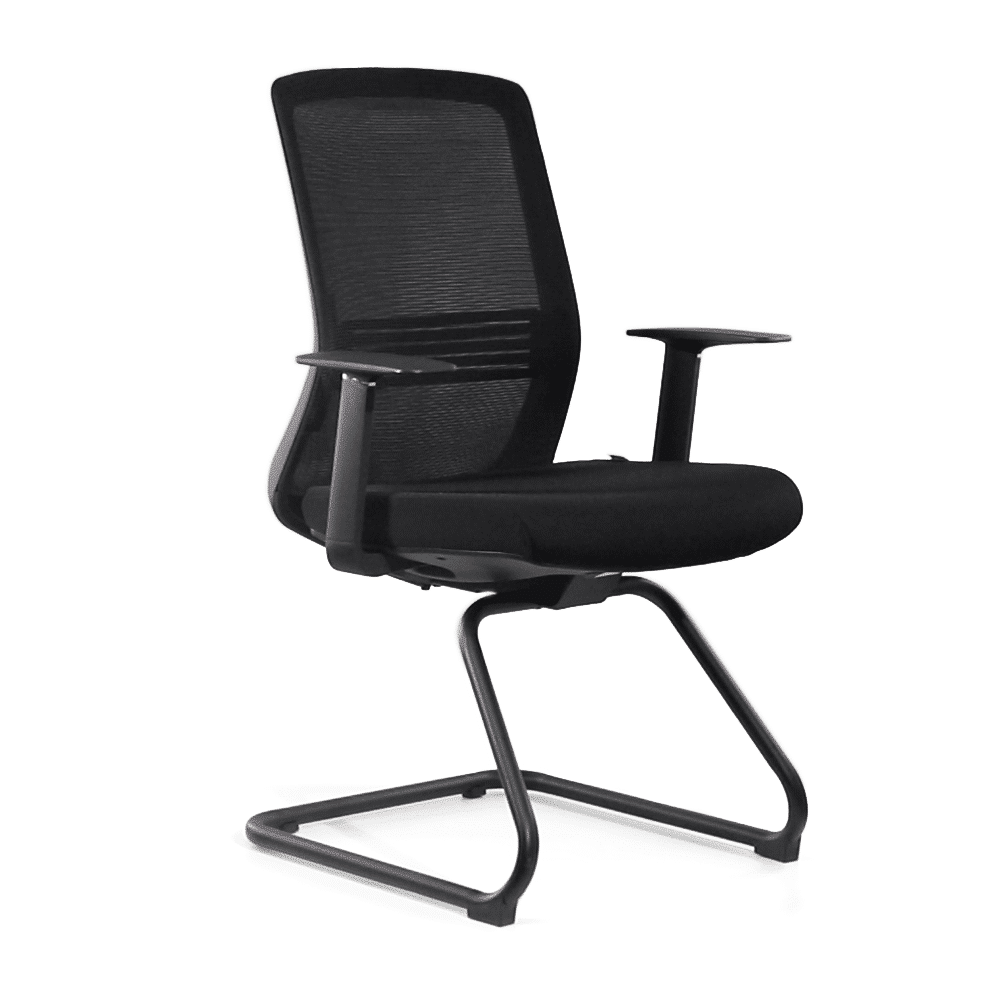 Ergo Sled Base Guest Chair | Sunline Office
