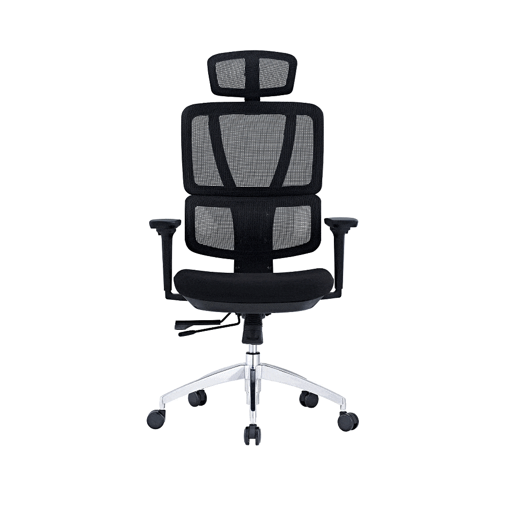 Sunline Elevate Chair | Ergonomic Comfort